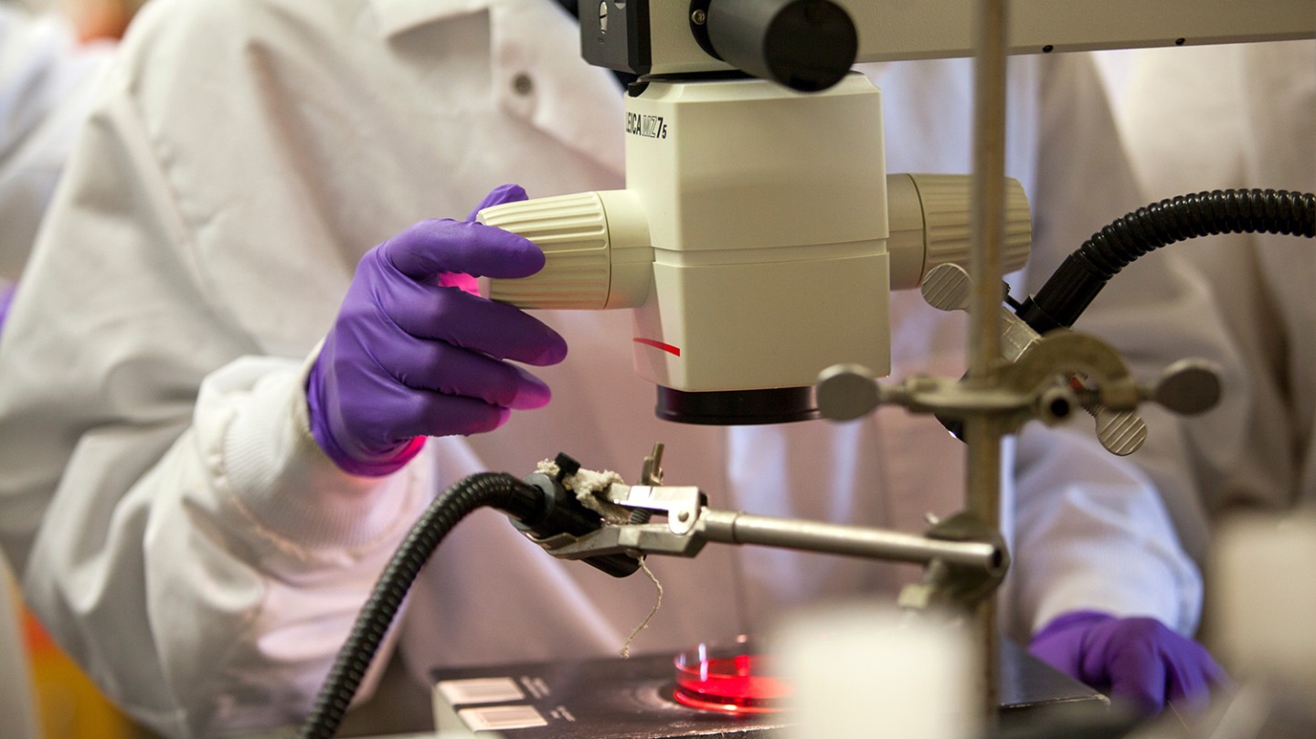 Biology Faculty | BioMed Faculty Administration | Brown University